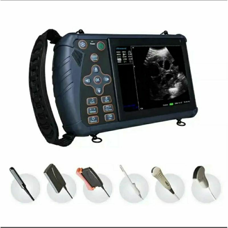 Jual USG PORTABLE HEWAN/ USG VET ULTRASOUND EURPET | Shopee Indonesia