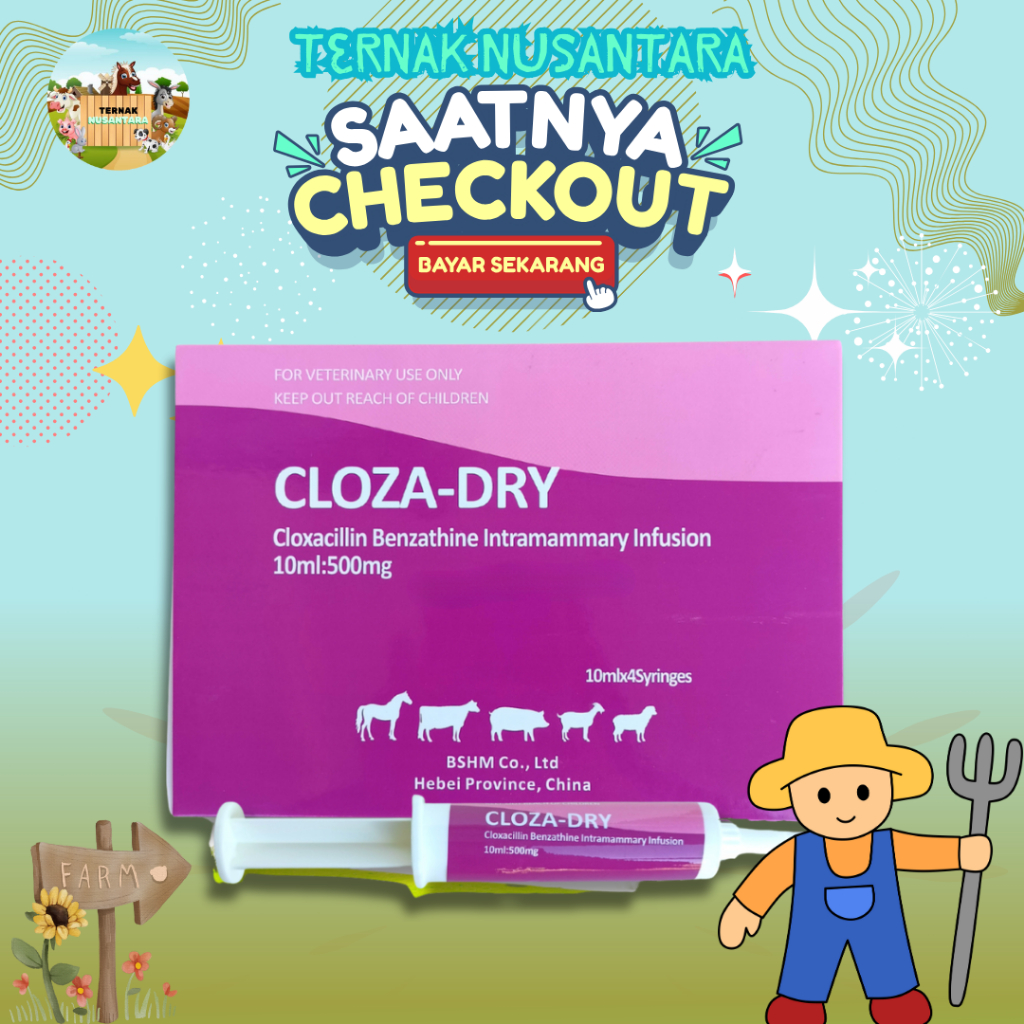 Jual CLOZA-DRY 1 SYRINGE- OBAT ANTI MASTITIS Ternak SAPI KAMBING DOMBA ...