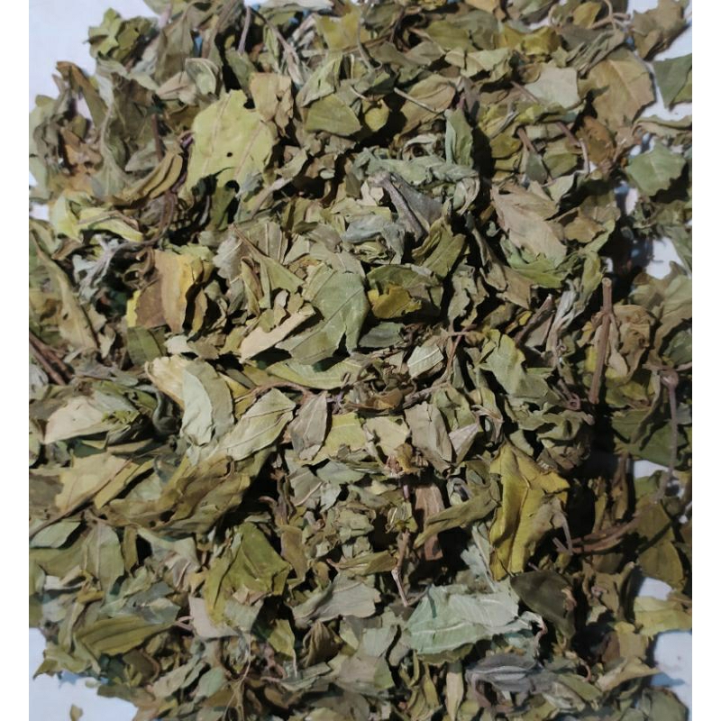 Jual Daun kemanden kering 1 kg / daun senggani kering | Shopee Indonesia