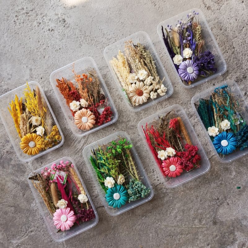Jual Paket Bunga Kering Daisy, Paket bunga mahar, bunga rustic hiasan ...