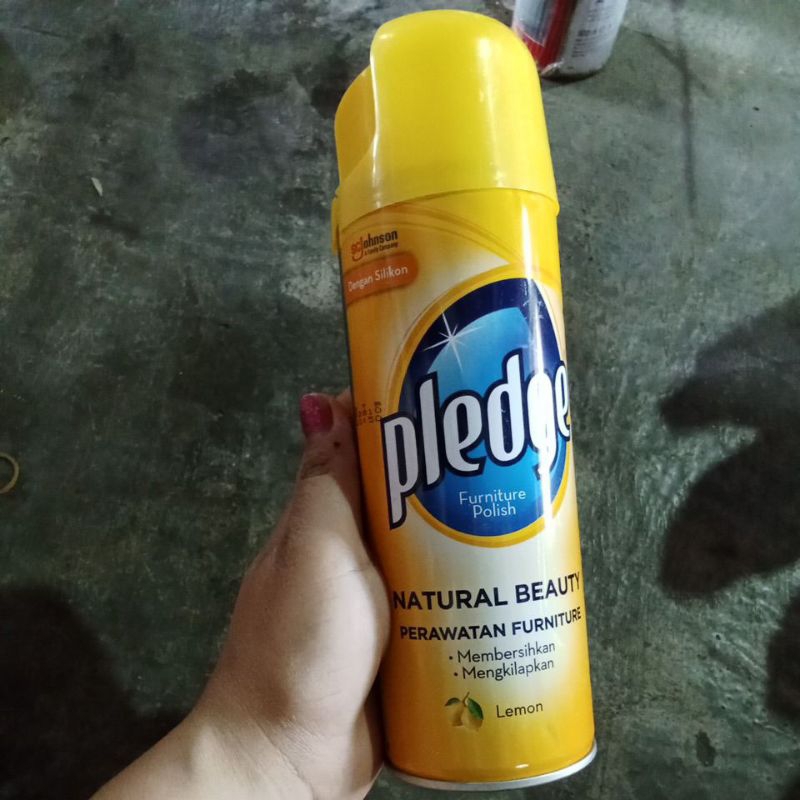 Jual PLEDGE FURNITURE POLISH NATURAL BEAUTY 330G | Shopee Indonesia
