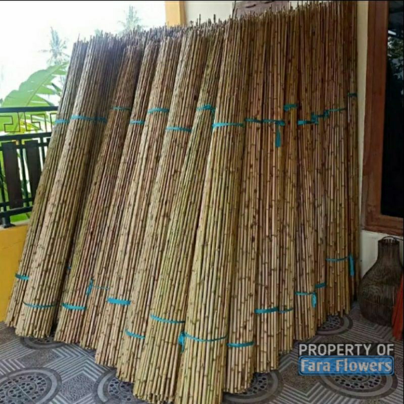 Jual (5 Batang) Bambu cendani natural lurus / bambu dekorasi | Shopee ...