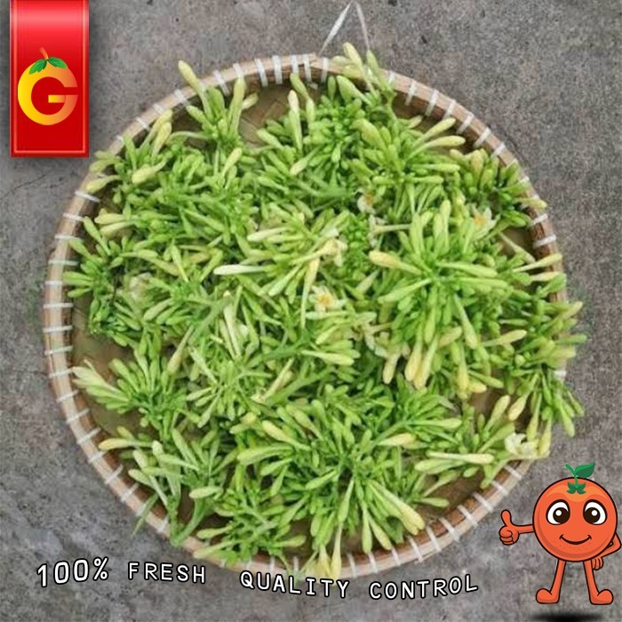 Jual Sayur Bunga Pepaya Fresh 250 Gram | Shopee Indonesia