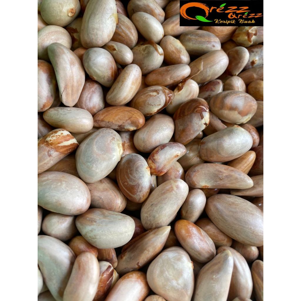 Jual BIJI BUAH NANGKA/BETON NANGKA 1 KG | Shopee Indonesia