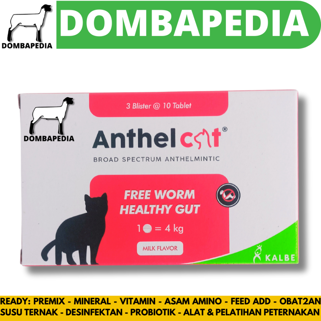 Jual ANTHEL CAT 1 TABLET (KEMASAN BLISTER) - Obat Cacing Kucing Ampuh ...