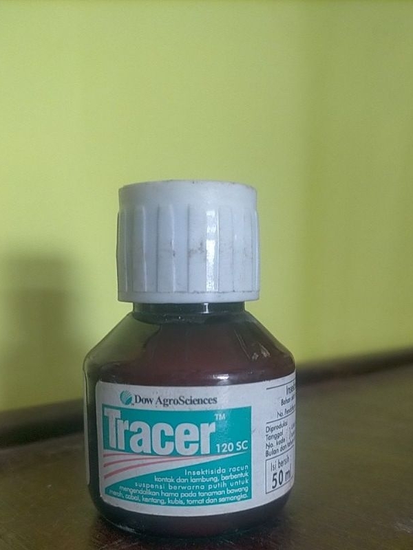 Jual TRACER 120 SC insektisida 50ml | Shopee Indonesia