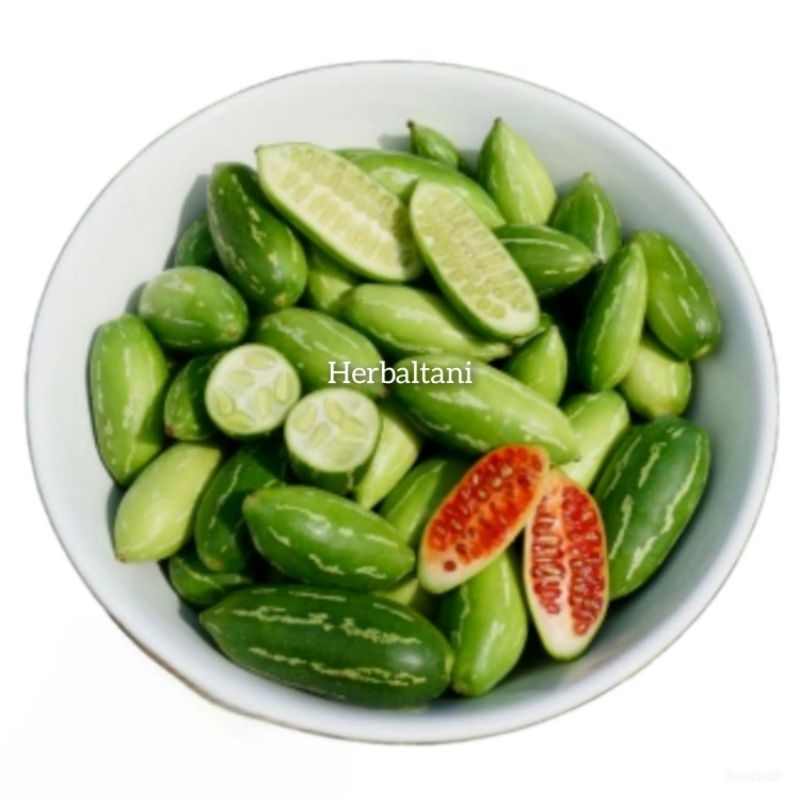Jual Coccinia grandis/timun padang/timun tikus/kemarungan/papasan 1 kg ...