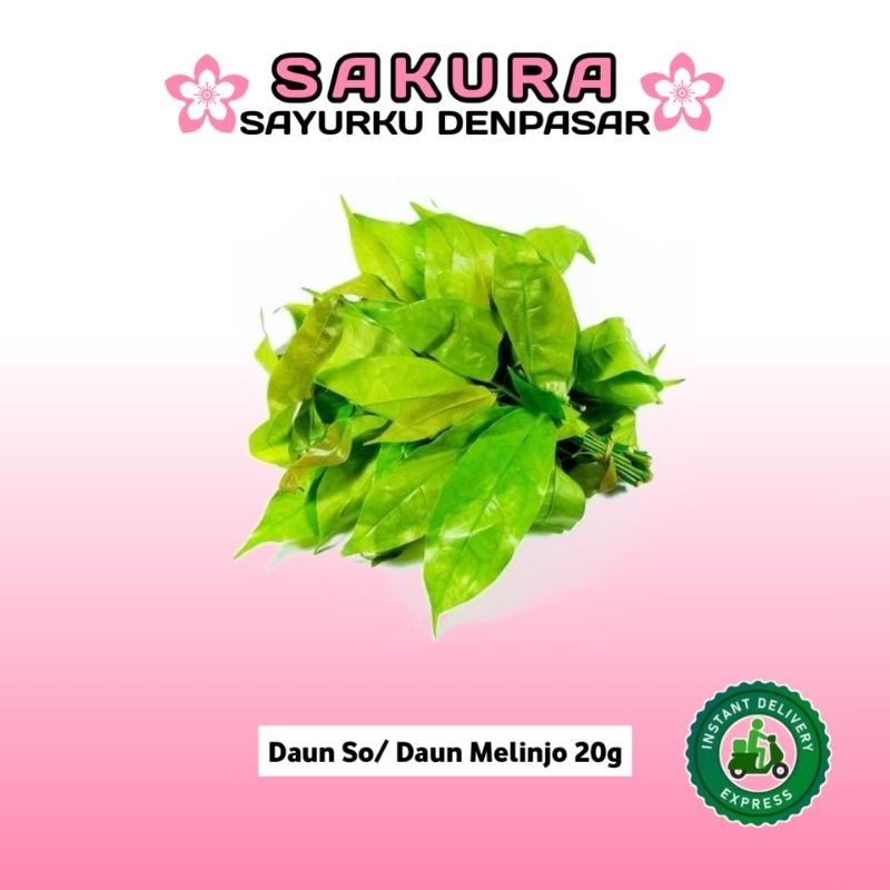 Jual Sayur So/ Daun So/ Daun Melinjo 20g - SAKURA | Shopee Indonesia