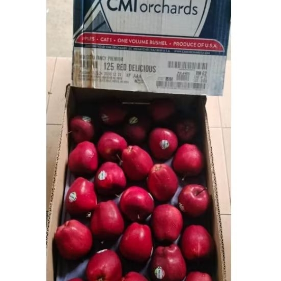 Jual Indukbuah Apel Merah Washington 1 Dus 21Kg isi 125 Buah | Shopee ...