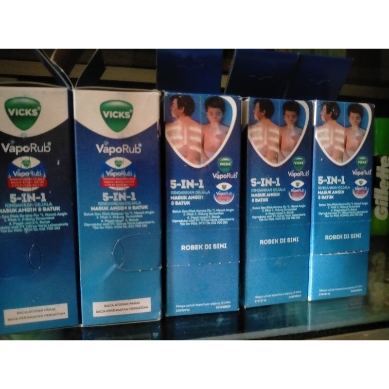 Jual Vicks Vaporub 10 GR 1 Box Isi 12 Pcs / 1 Box Isi 6 Pcs | Shopee ...