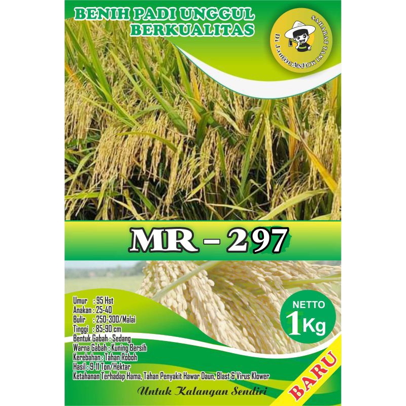 Jual Benih Padi MR297 Original 1Kg | Shopee Indonesia