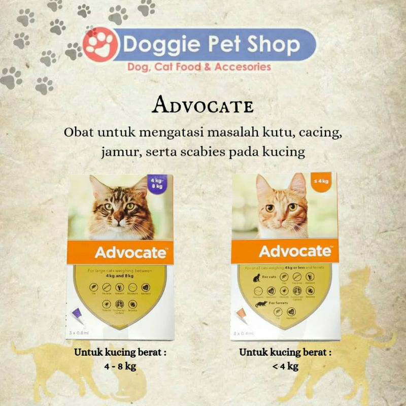 Jual Advocate for Cat | Shopee Indonesia