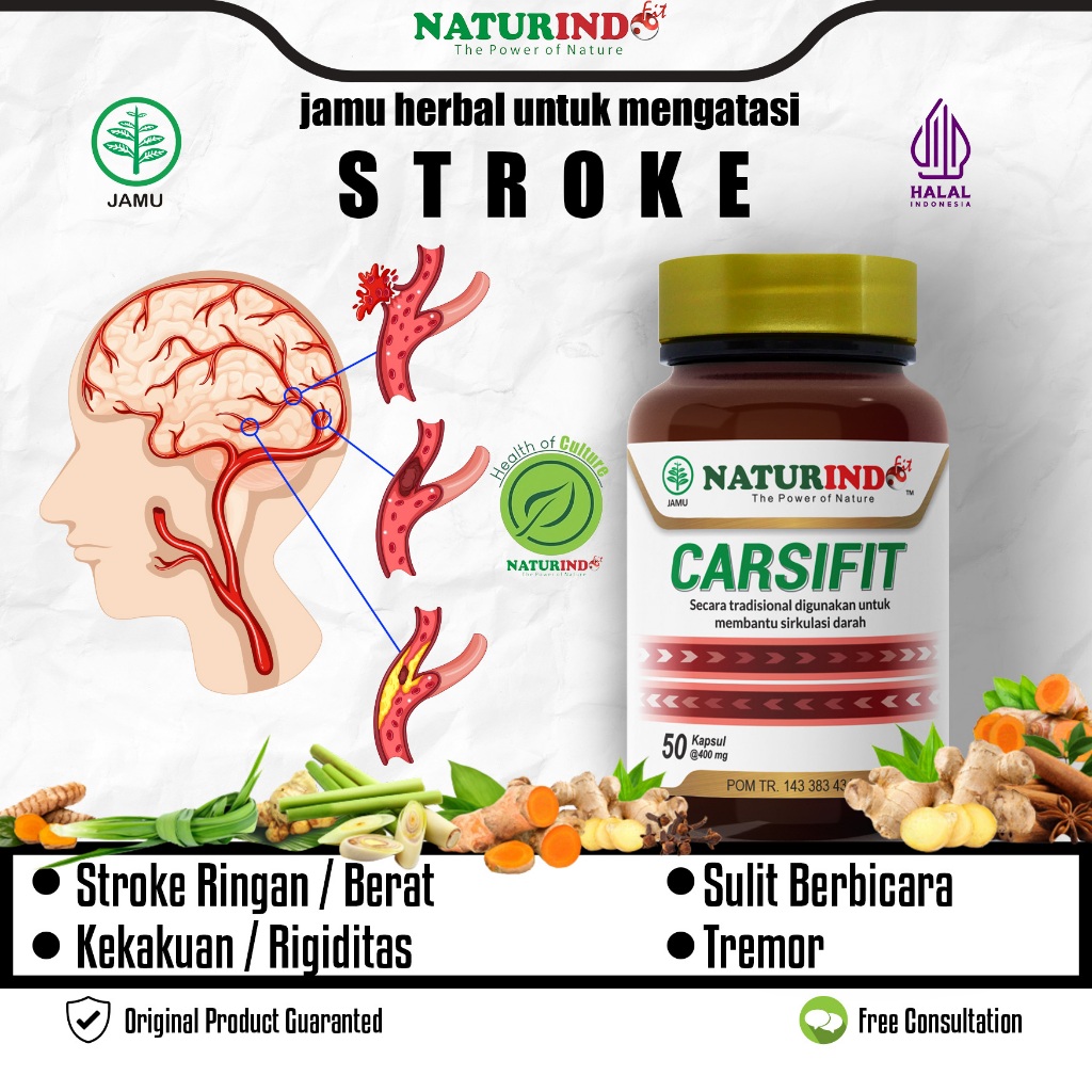 Jual Obat Stroke Ringan Berat Mati Sebelah Iskemik Hemoragik Gejala ...