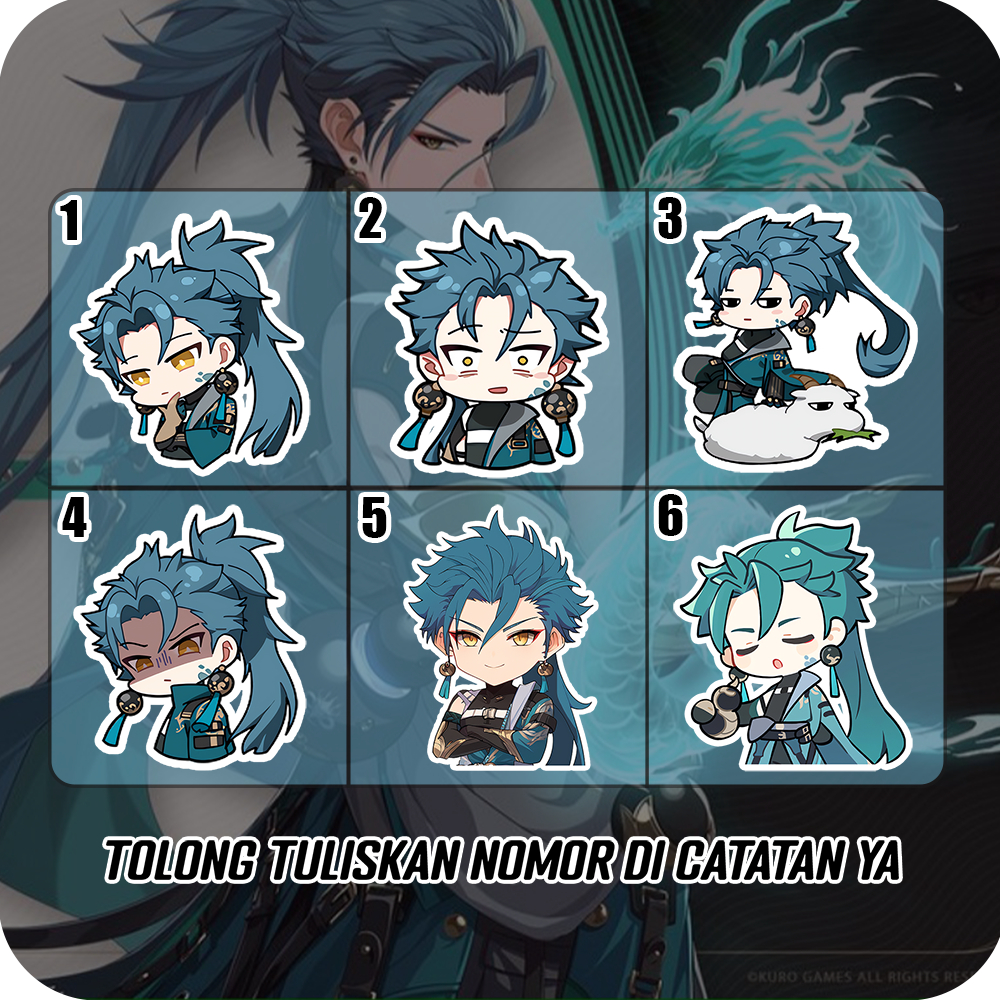 Jual Stiker Glossy Jiyan Wuthering Waves, Sticker Anime Untuk HP ...