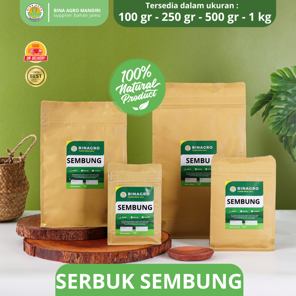 Jual DAUN SEMBUNG Serbuk Bubuk Jamu Daun Sembung 500 gram & 1 Kg Asli ...