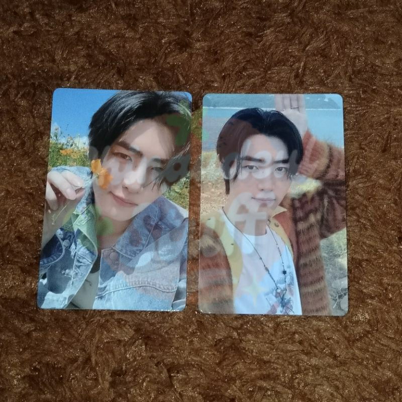 Jual Photocard Sunghoon Enhypen Orange Blood | Shopee Indonesia