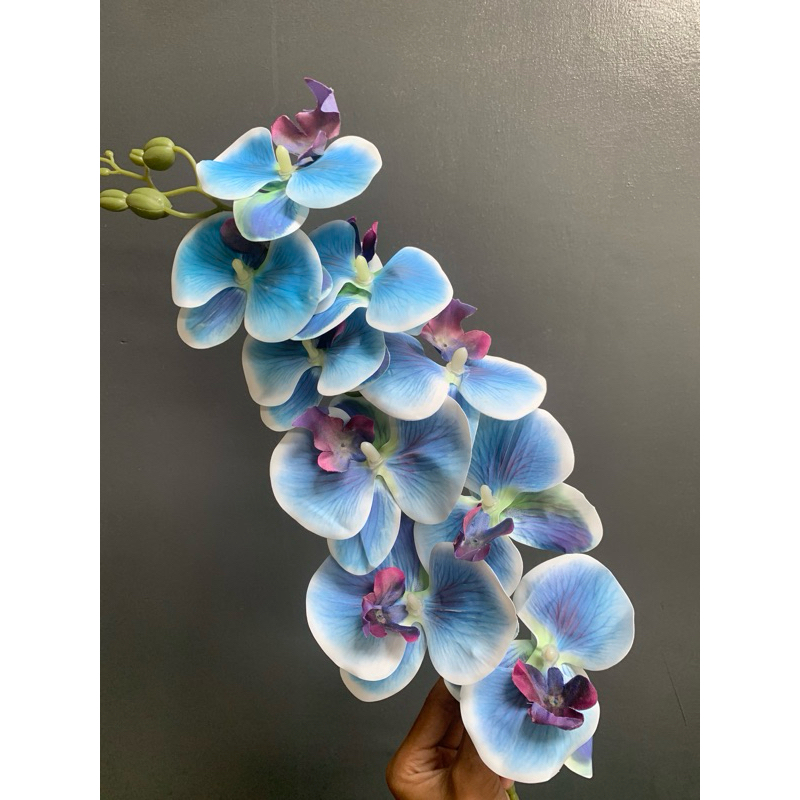 Jual ANGGREK LATEK JUMBO 3 CABANG / VAS BUNGA AESTHETIC/ RANGKAIAN ...