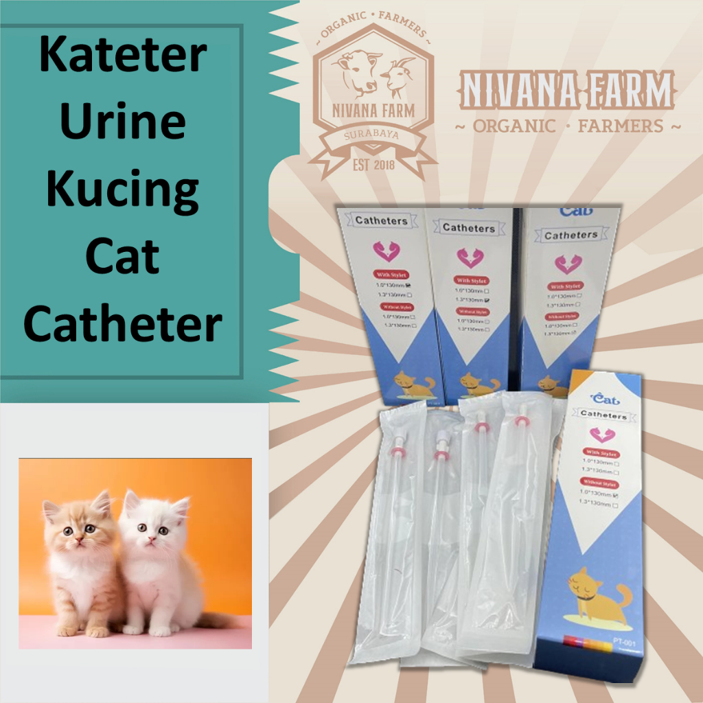 Jual Kateter Kucing Cat Catheter | Shopee Indonesia