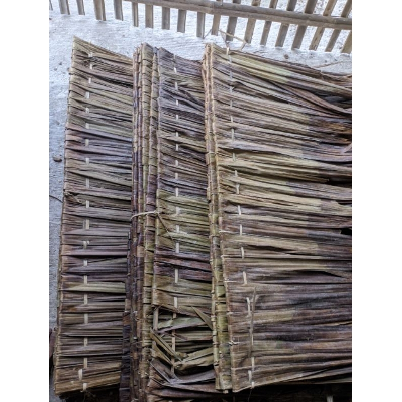 Jual ATAP DAUN RUMBIA KIRAY MINIMAL ORDER 10 LEMBAR | Shopee Indonesia