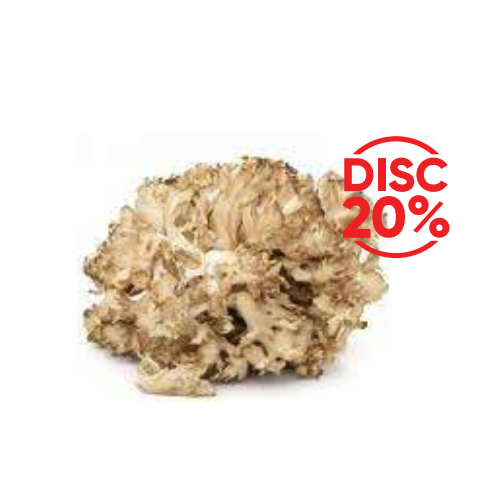 Jual KING OF JAMUR / JAMUR MAITAKE / MAITAKE MUSHROOM / JAMUR SULTAN ...