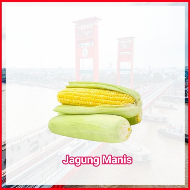 Jual Jagung Manis - Sayur Sayuran Mayur Segar Palembang | Shopee Indonesia