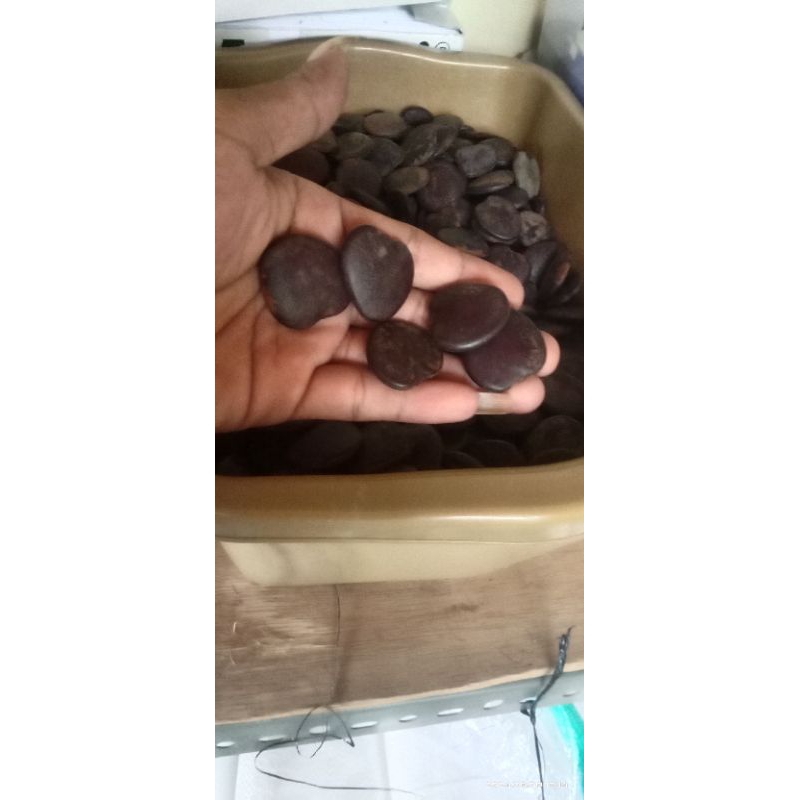 Jual BIJI MERBAU 1 KG / INTSIA BIJUGA / BENIH MERBAU PREMIUM | Shopee ...