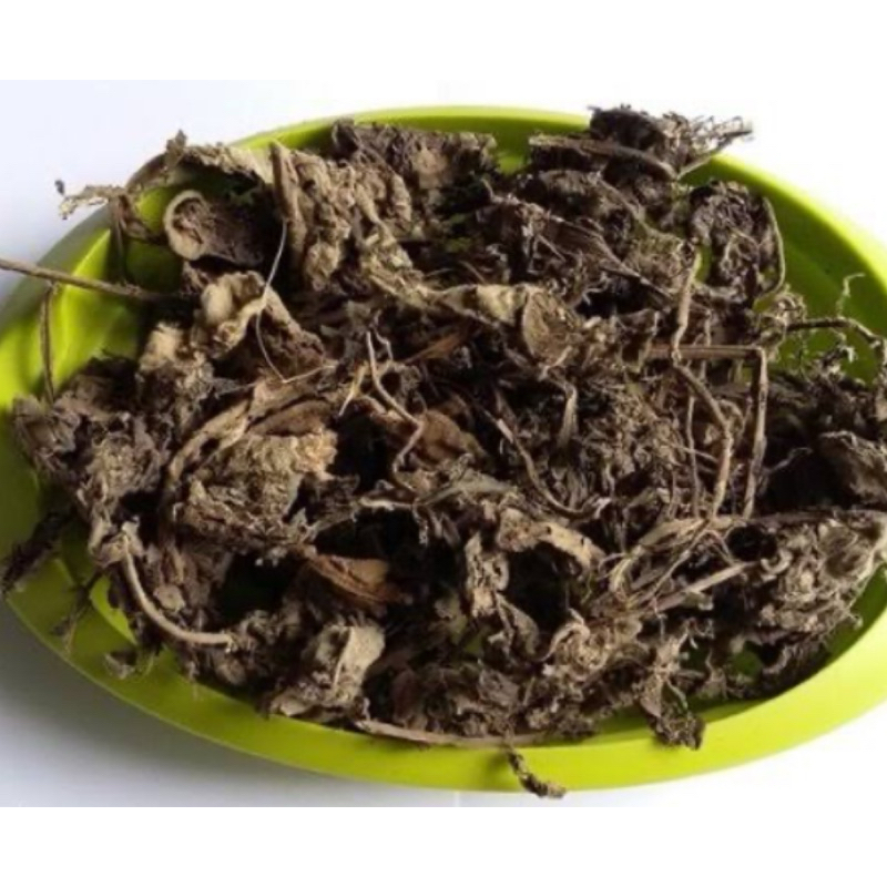 Jual Daun sembung rambat kering 250 gram | Shopee Indonesia