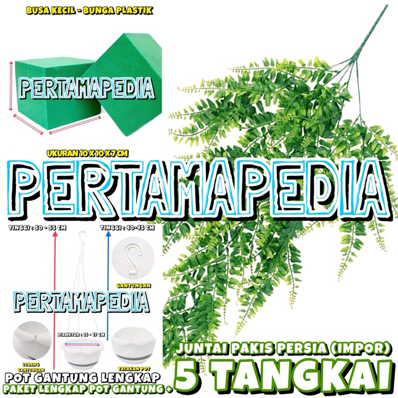 Jual JUNTAI PAKIS CEMARA X5/ JUNTAI PAKIS PERSIA/ JUNTAI IMPOR/ Bunga ...