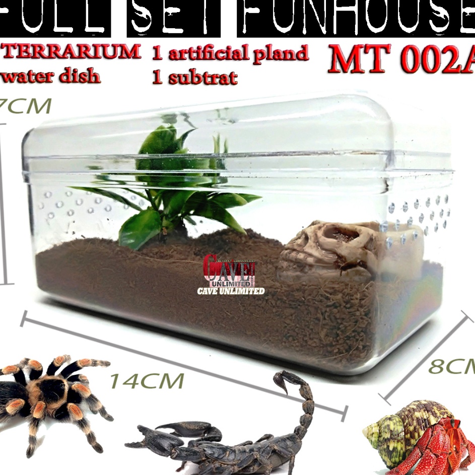 Jual MT2A PAKET FUN HOUSE KANDANG TARANTULA ARBOREAL TERRESTRIAL BURROW ...