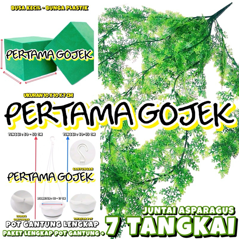 Jual PAKET LENGKAP POT JUNTAI ASPARAGUS X7/ Daun Juntai/ Daun Plastik ...