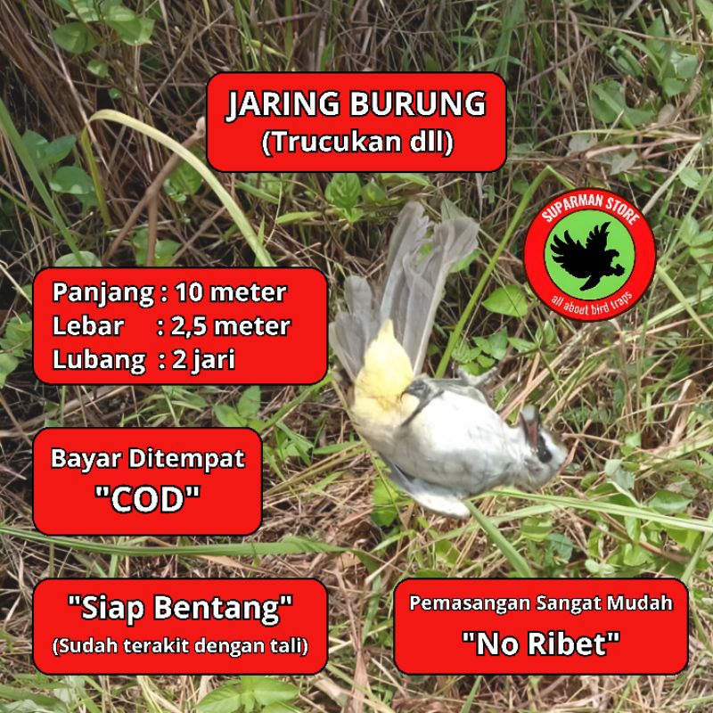 Jual JERAT BURUNG 10 JARINGAN BURUNG SIAP PAKE JARING BURUNG TRUCUKAN ...