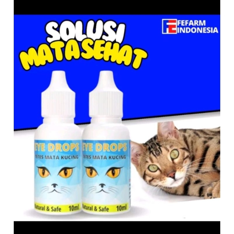 Jual Obat tetes mata kucing sakit mata kucing obat mata berair kucing ...