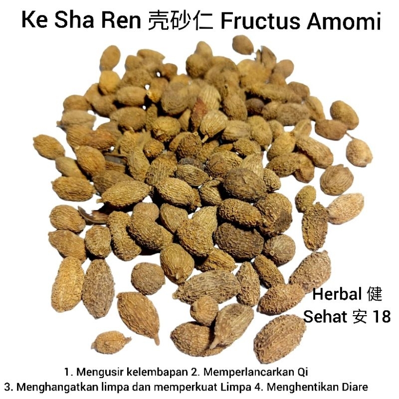 Jual Ke Sha Ren 100-250-600g - Fructus Amomi - Sharen - Khok Sa Jin ...
