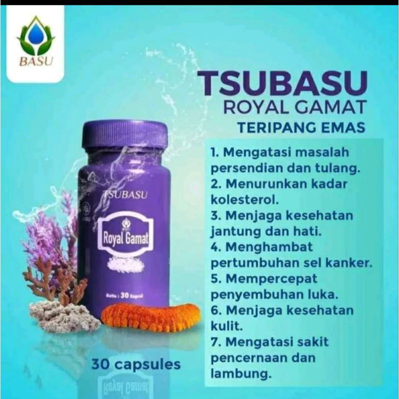 Jual Royal Gamat tsubasu ( 30 capsule) | Shopee Indonesia