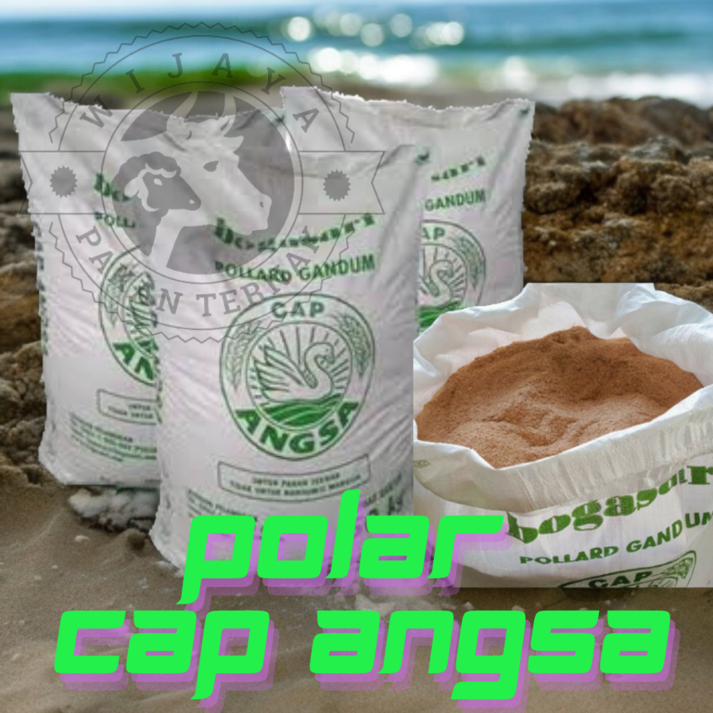 Jual Pollard Gandum Cap Angsa Bogasari 1KG WJYPKNTRN | Shopee Indonesia