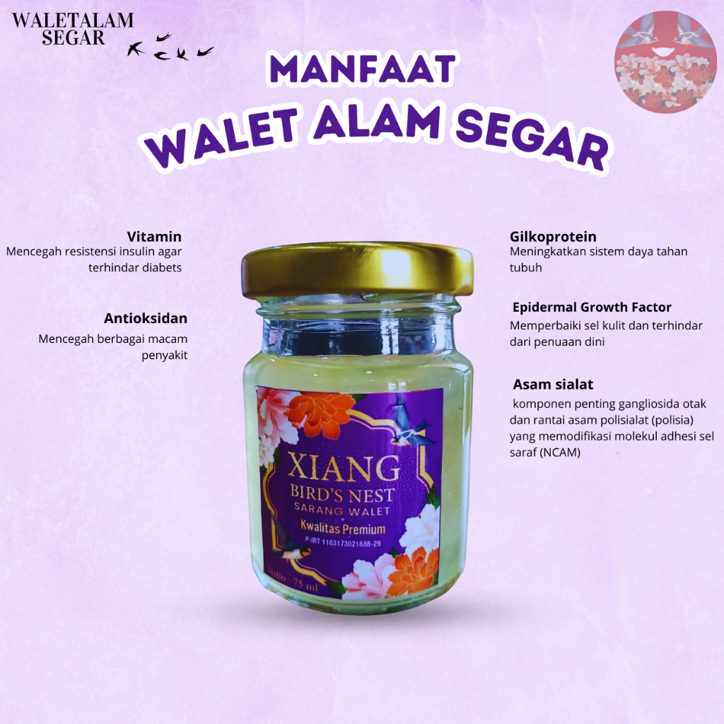 Jual WALET ALAM SEGAR Minuman Sarang Burung Walet ISI 6 JAR | Shopee ...