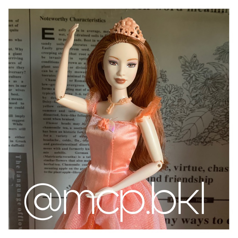 Jual Barbie Goddess as Princess Edeline from 12 Dancing Princess Movie ...