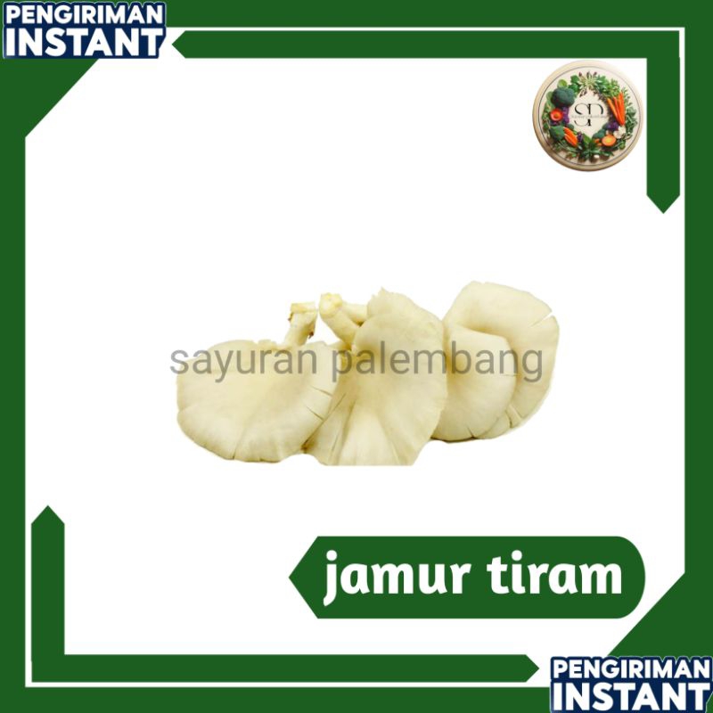 Jual jamur tiram - sayuran palembang | Shopee Indonesia