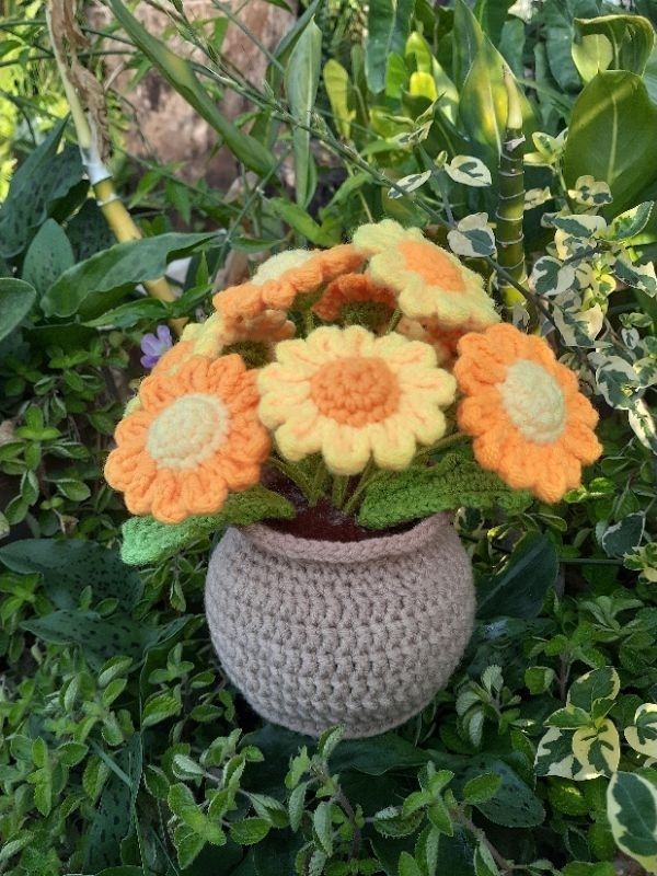Jual Pot Bunga Daisy Rajut/Bunga Rajut/Daisy Flower Crochet | Shopee ...