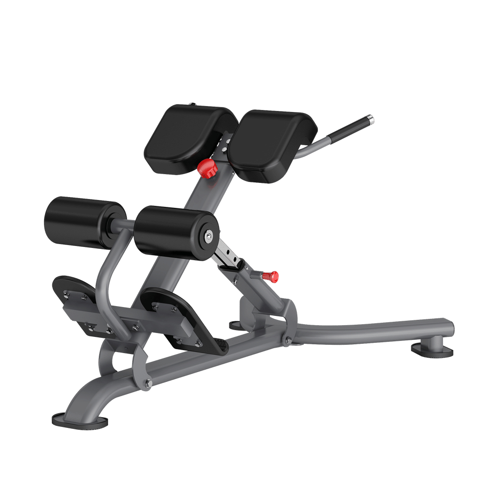 Jual Insight Back Extension Roman Chair DR010 Alat Fitness Gym ...
