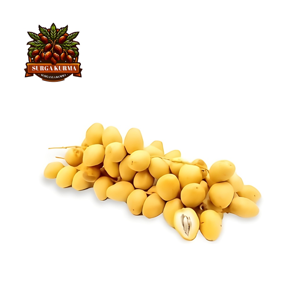 Jual Kurma Muda Barhee Kuning Dan merah 1kg Fresh 100% Free Testpack ...