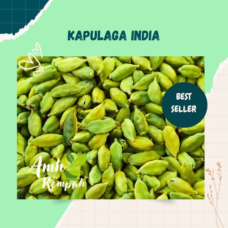 Jual Kapulaga india, kapulaga hijau, kapulaga arab 20 gram | Shopee ...