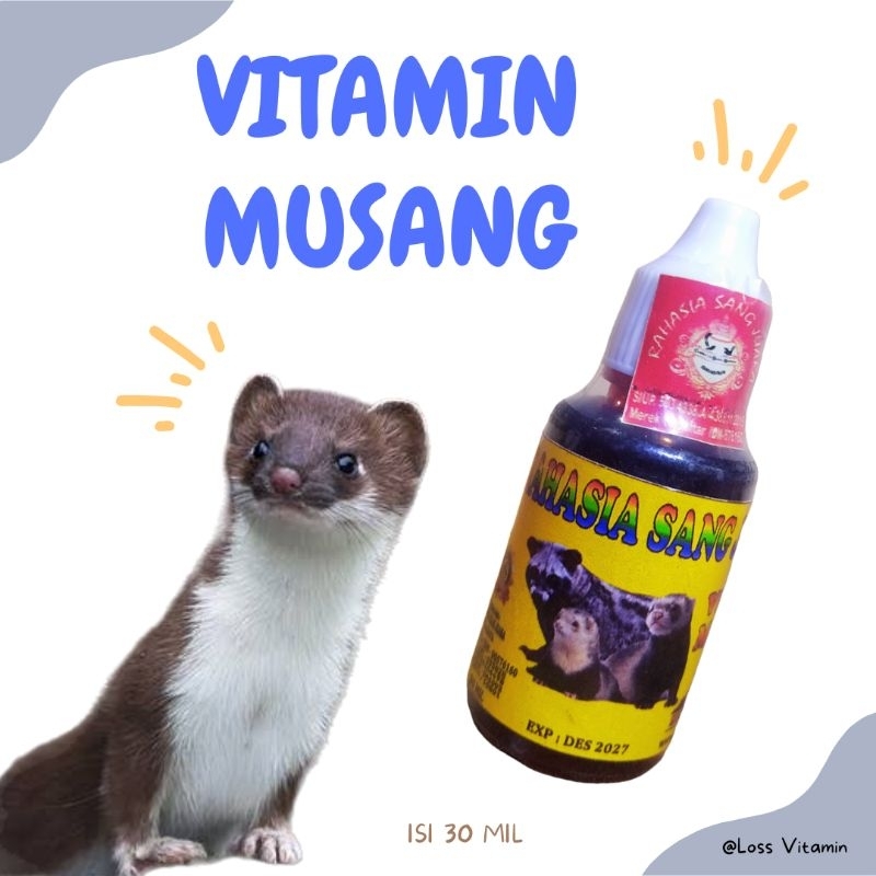 Jual Vitamin Musang Rahasia Sang Juara Vitamin Suplemen Penggemuk ...