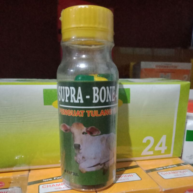 Jual Supra-Bone 40 Penguat Tulang Otot Sapi Kambing Domba Kerbau Atasi ...