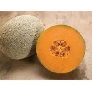 Jual Melon 1 Kg Terlengkap & Harga Terbaru Agustus 2024 | Shopee Indonesia