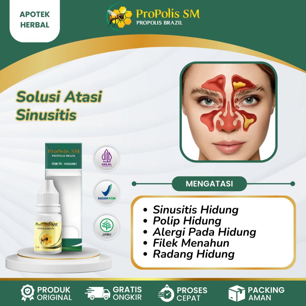 Jual Obat Sinusitis Pilek Menahun, Sinusitis Flu Alergi Hidung, Radang ...