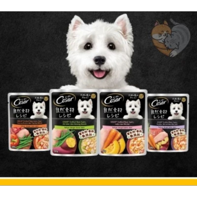 Jual CESAR POUCH DOG WETFOOD 60 G | Shopee Indonesia