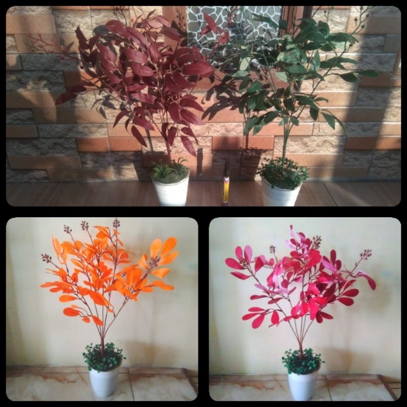 Jual Maple Jepang dollar bunga hias artificial imitasi palsu plastik ...