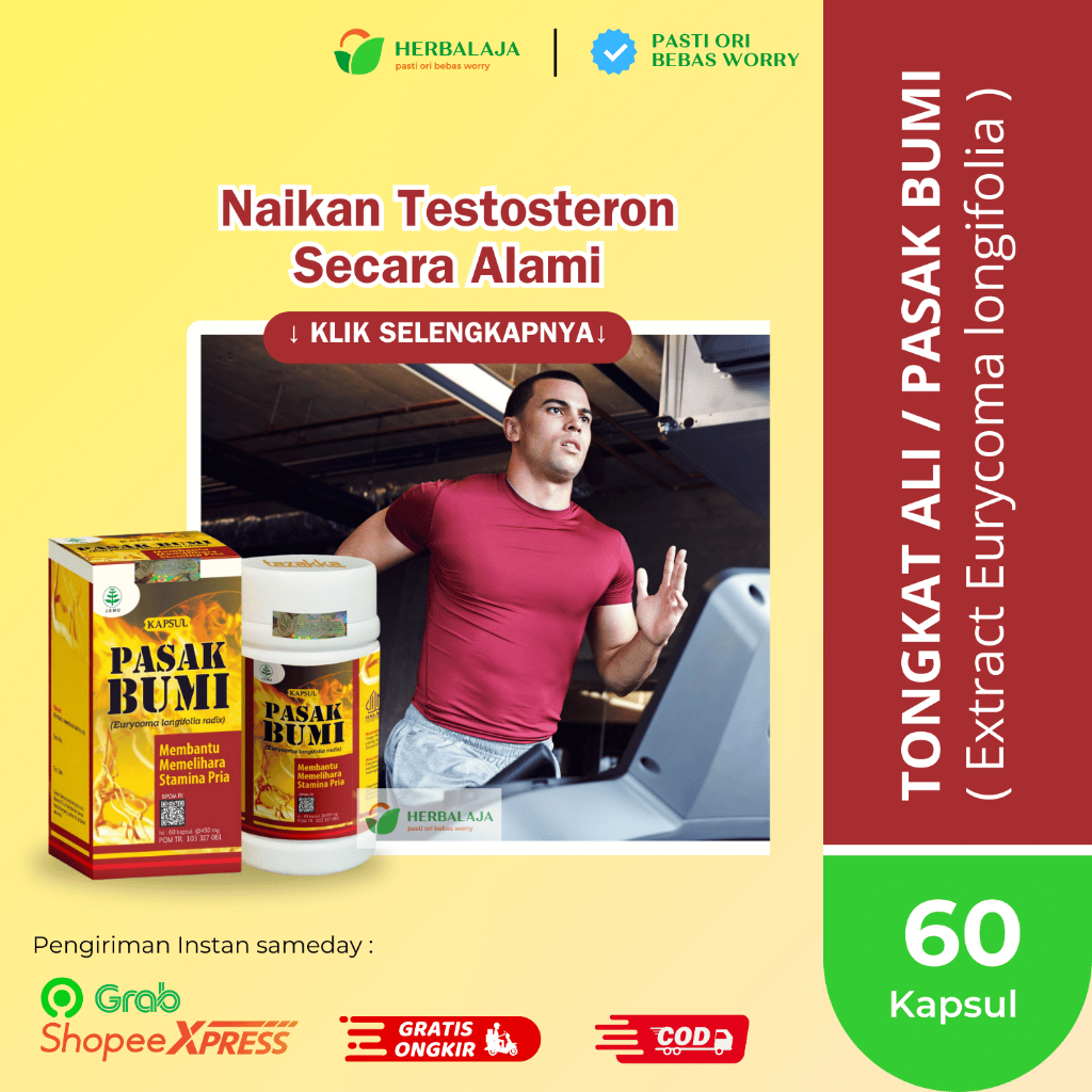 Jual Kapsul Tongkat Ali kapsul original Kapsul Pasak Bumi Asli Premium ...