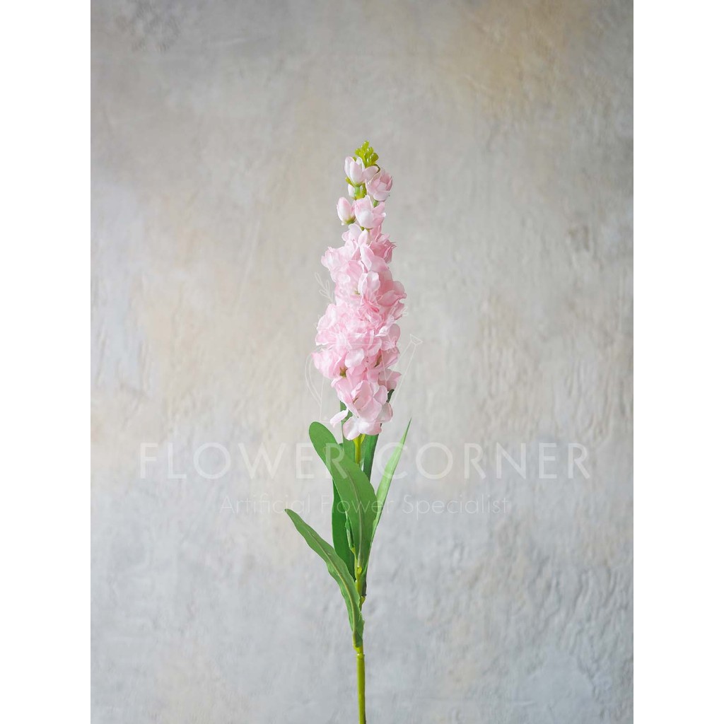 Jual Bunga Artificial Matthiola Bold Color Tangkai Panjang (B24056 ...